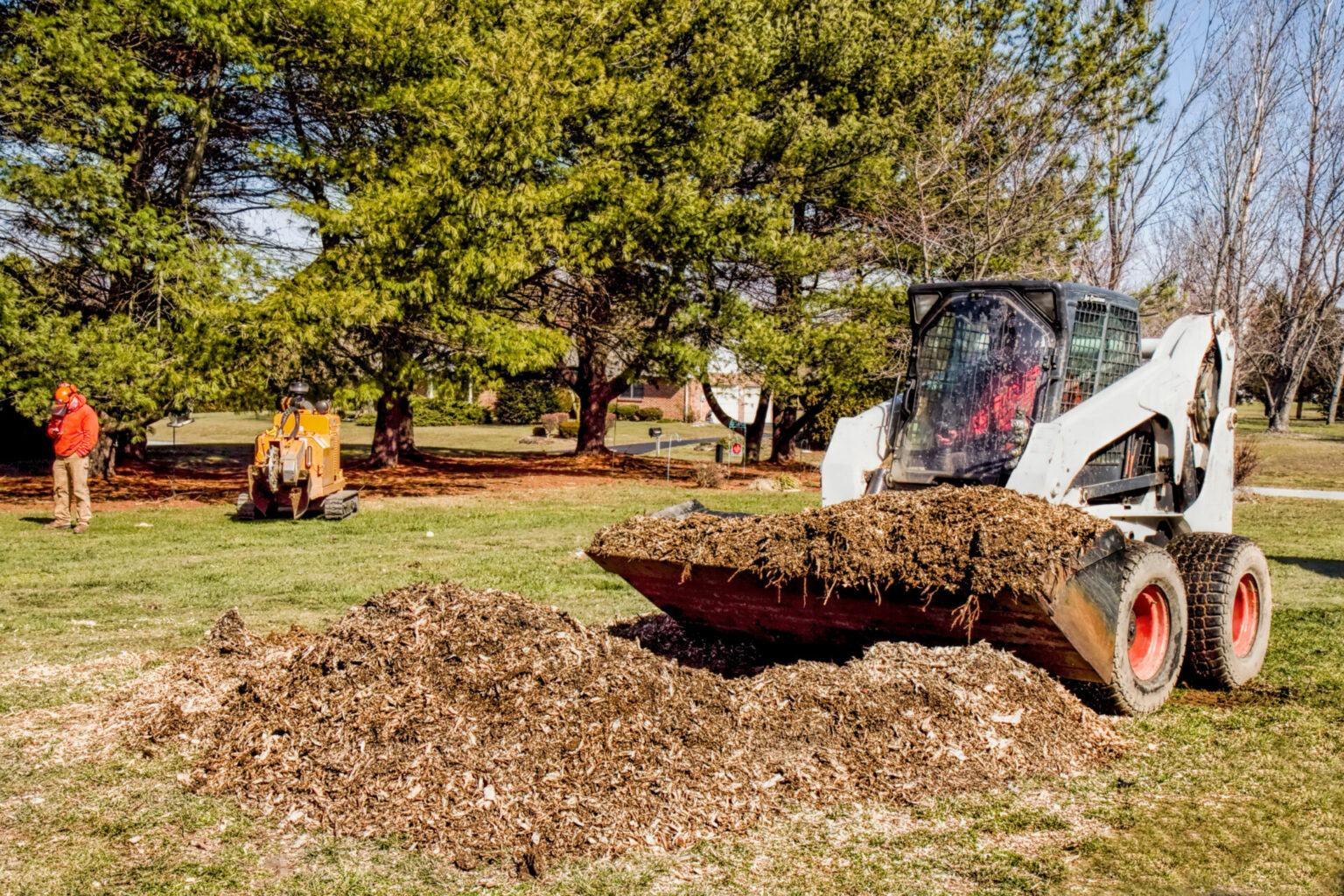 Landscape Debris Hauling - Sunny Trash Hauling